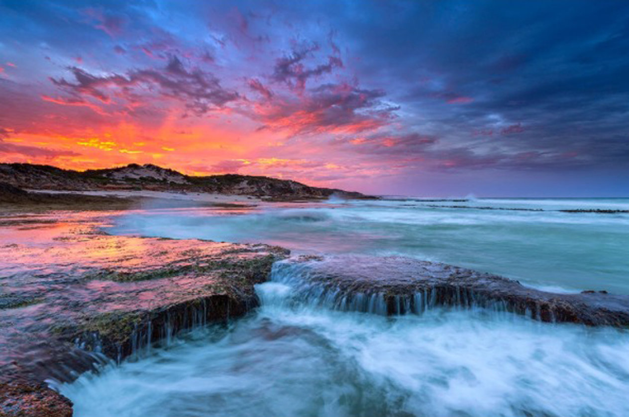 Awaken 2015 by Mark Gray - For Sale on Art Brokerage