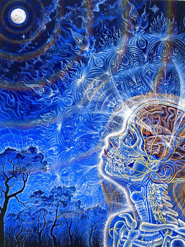 Alex Grey Limited Edition Prints For Sale, Wanted