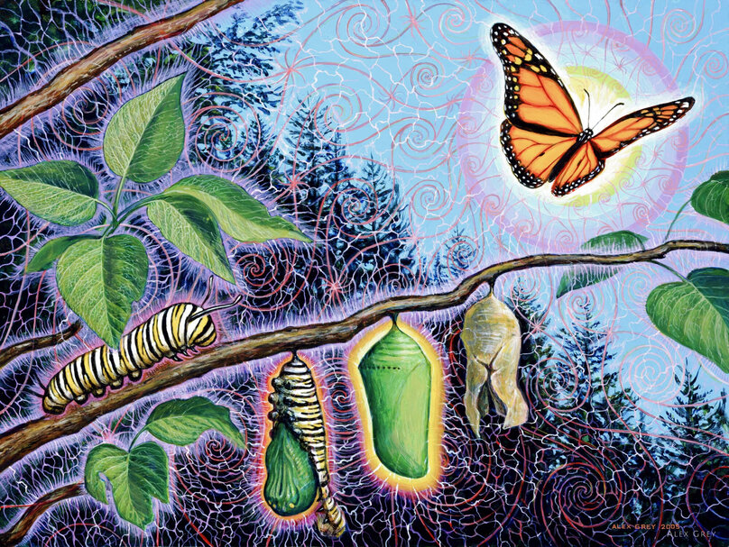 Alex Grey Limited Edition Prints For Sale, Wanted