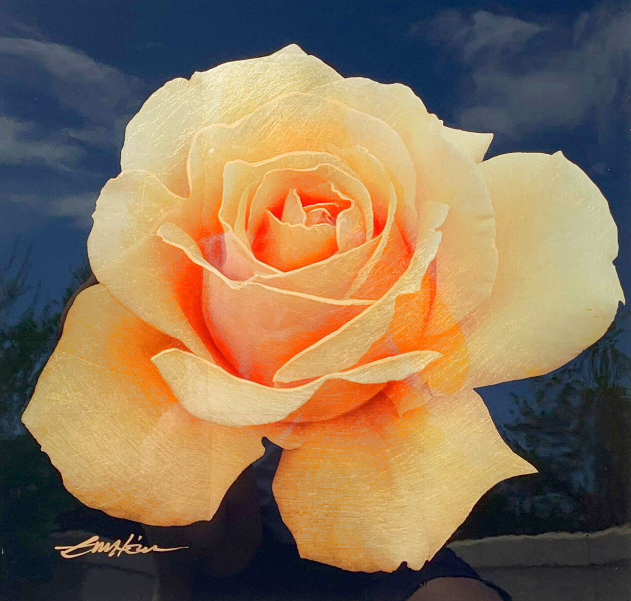 Gold Rose 2024 Framed Mixed Media on Aluminum by Patrick Guyton - For ...