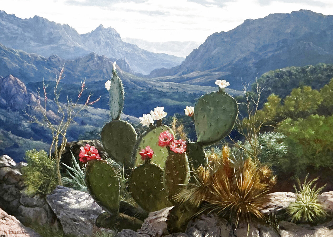 Prickly Pear Cactus 1989 Framed Oil on Canvas 40x50 by Huertas Aguiar ...