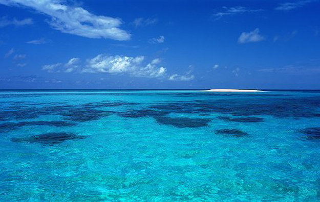 Vlasoff Cay - Huge 1.5M by Peter Jarver - For Sale on Art Brokerage