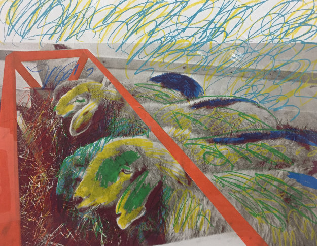 Menashe Kadishman Artwork For Sale, Wanted