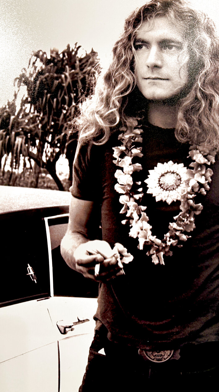 Robert Plant, Honolulu Limited Edition Photograph by Robert Knight ...