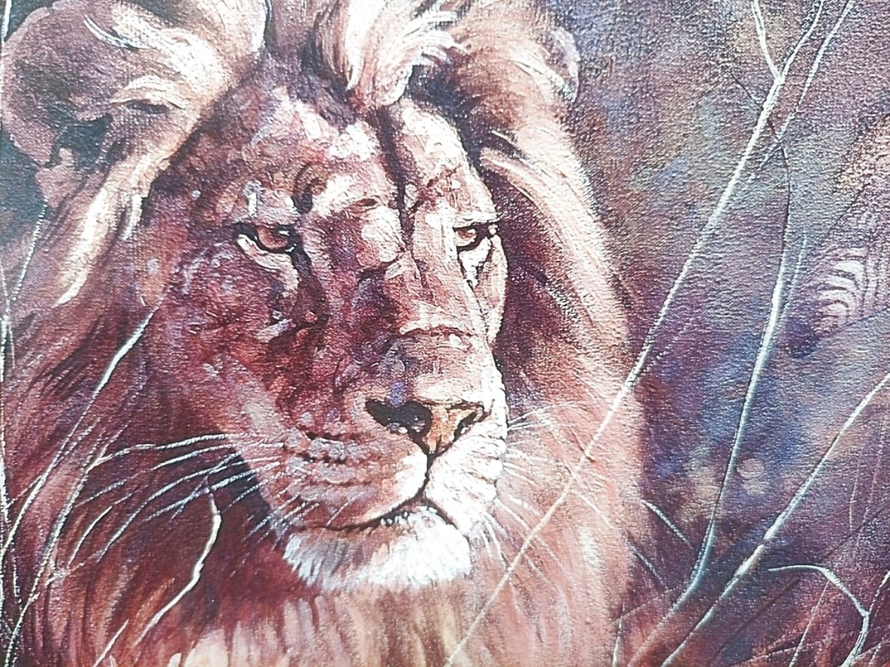 Big Five Series King 1996 Serigraph 31x45 by Kobus Moller - For Sale on ...