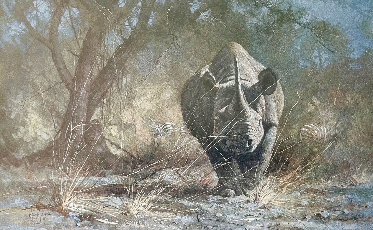 Rhino Country 1996 Limited Edition Serigraph by Kobus Moller - For Sale ...
