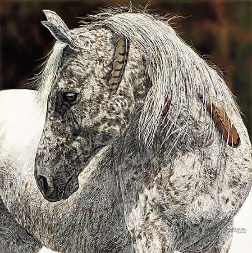 Judy Larson Artwork For Sale, Wanted