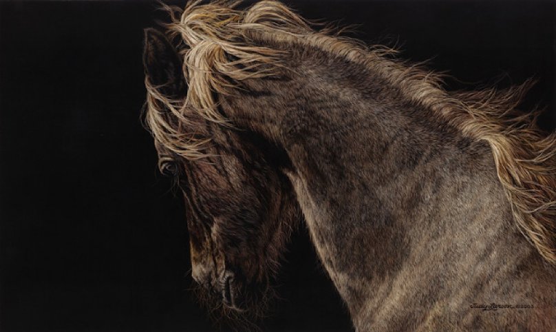 Judy Larson Artwork For Sale, Wanted