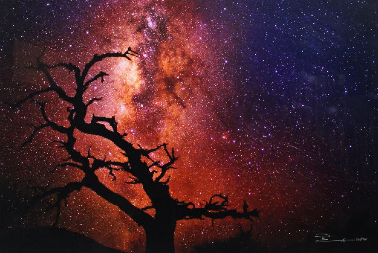 Tree of the Universe, Mauna Kea, Big Island, Hawaii by Peter Lik