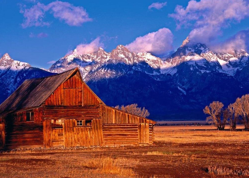 Peter Lik Art For Sale, Wanted