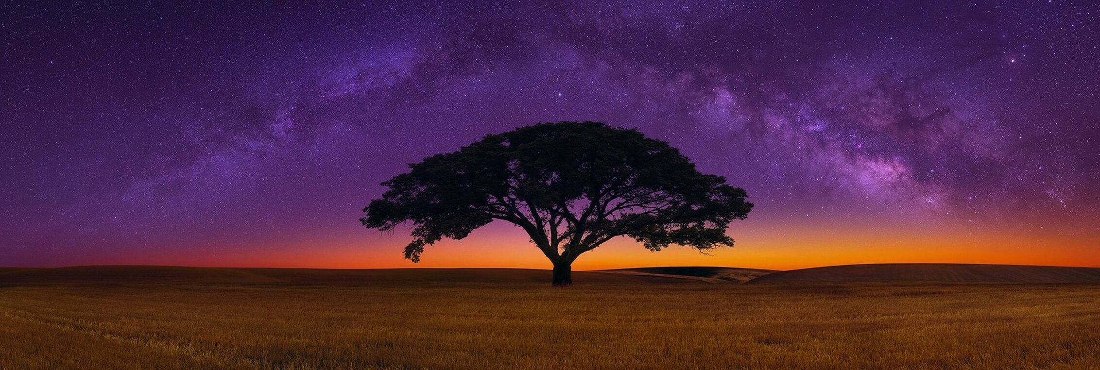 Celestial Dreams Framed Limited Edition Photograph by Peter Lik - For ...