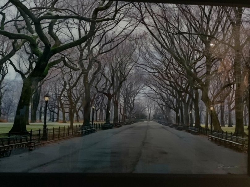 Peter Lik Art For Sale, Wanted
