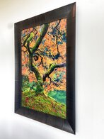 Peter Lik , photograph print, Tree of Beauty by Peter Lik