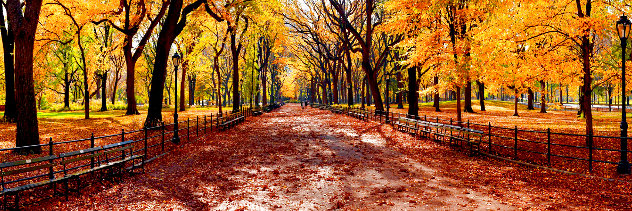 Vintage Road Limited Edition Photograph by Peter Lik - For Sale on Art ...