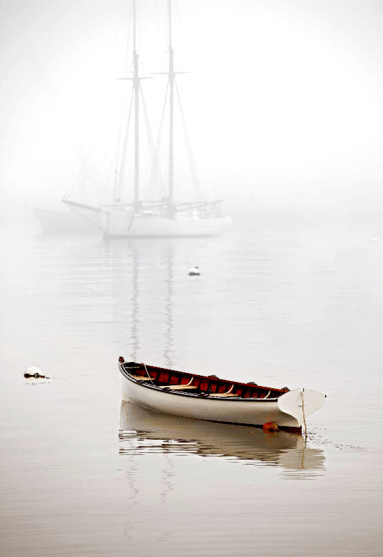 Peter Lik Art For Sale, Wanted