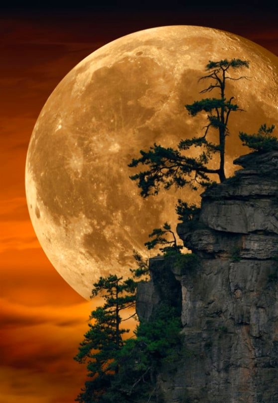 Peter Lik Art For Sale, Wanted