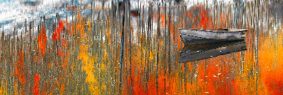 Peter Lik Art For Sale, Wanted