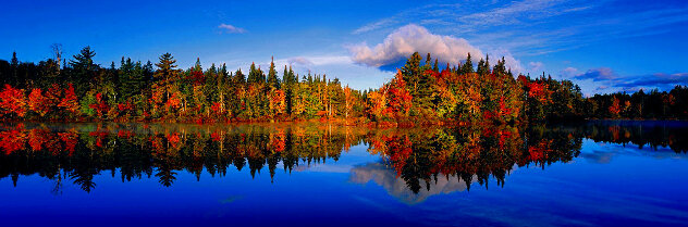 Arctic Jewel Limited Edition Photograph by Peter Lik - For Sale on Art ...