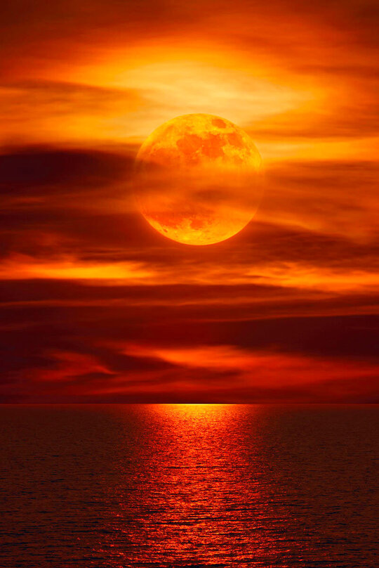 Peter Lik Art For Sale, Wanted