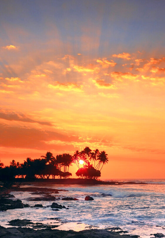 Peter Lik Art For Sale, Wanted