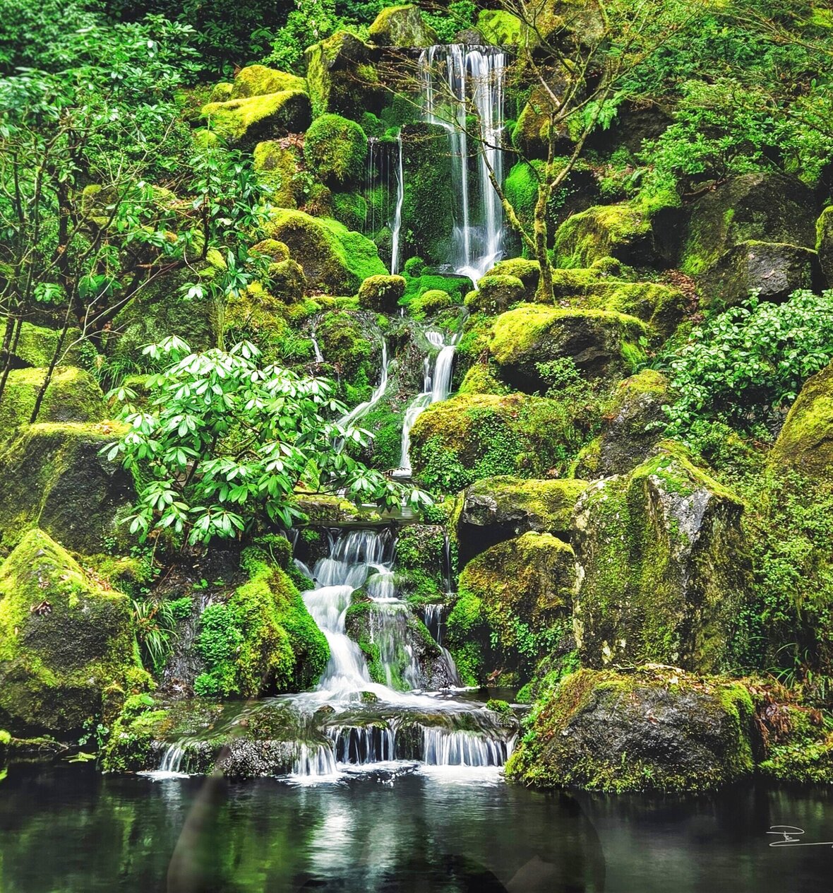 Jade Garden Photograph by Peter Lik - For Sale on Art Brokerage