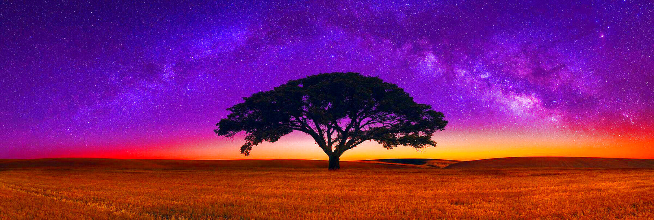 Celestial Dreams Framed Limited Edition Photograph by Peter Lik - For ...