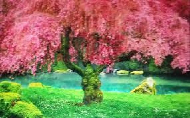 Sacred Sunrise Photograph 19x58 by Peter Lik - For Sale on Art Brokerage