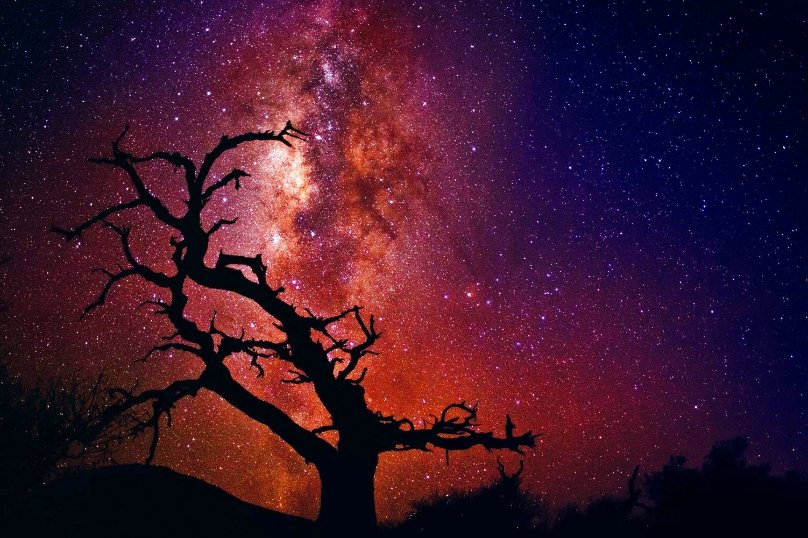 Peter Lik Art For Sale, Wanted