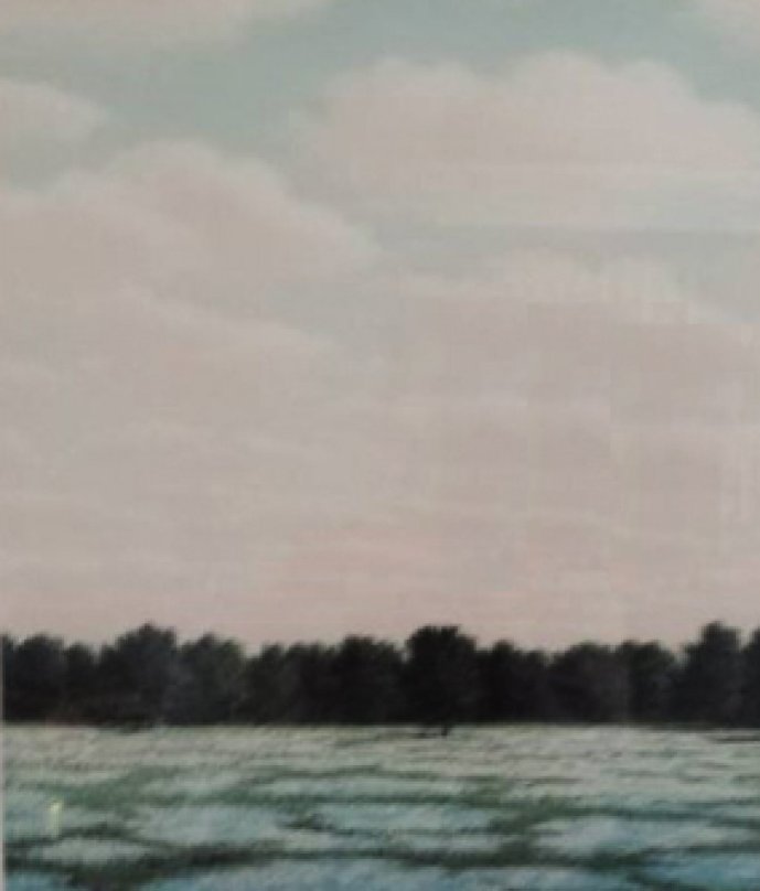 Thomas Locker Artwork For Sale, Wanted