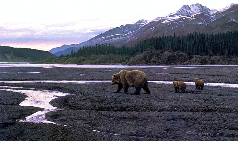 Brett Weston Photographs For Sale, Wanted