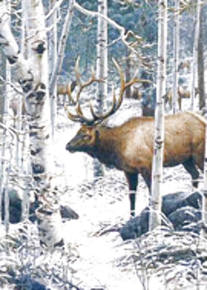 American Wildlife Artist Stephen Lyman Prints Paintings For Sale - 11 ...