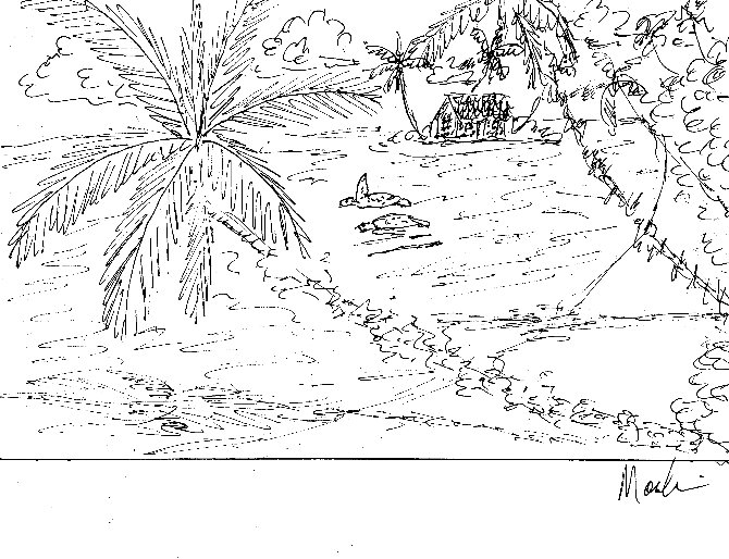 American Artist, Naturalist Painter Dan Mackin Artwork For Sale - 20 ...