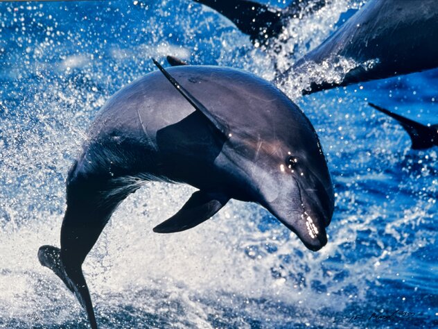 Out of Darkness AP Limited Edition Photograph by Thomas Mangelsen - For ...