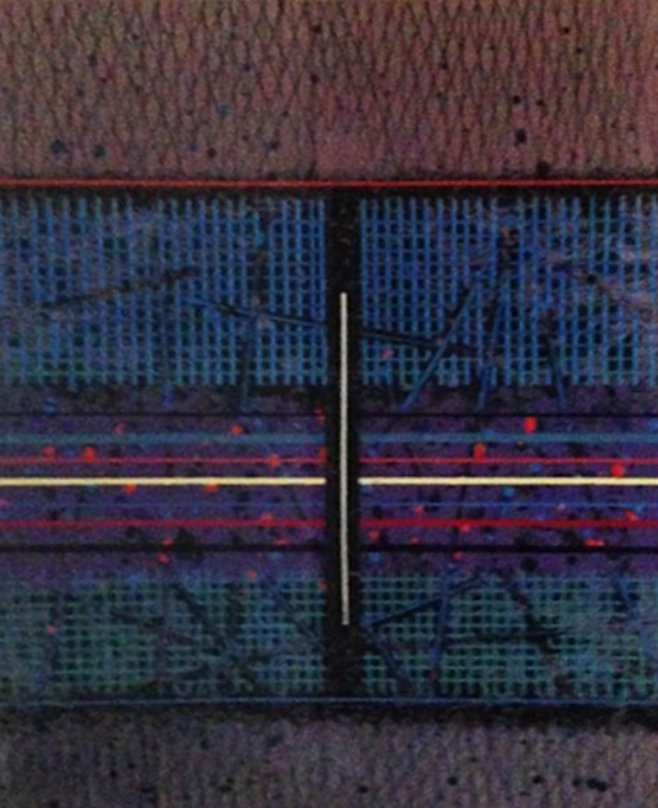 Paul Maxwell Art For Sale, Wanted