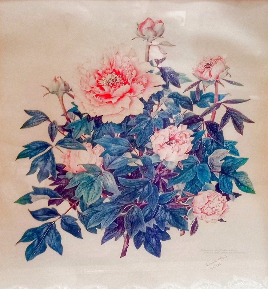 Rodella Purves Scottish Artist Prints/ Paintings For Sale - 2 Listings