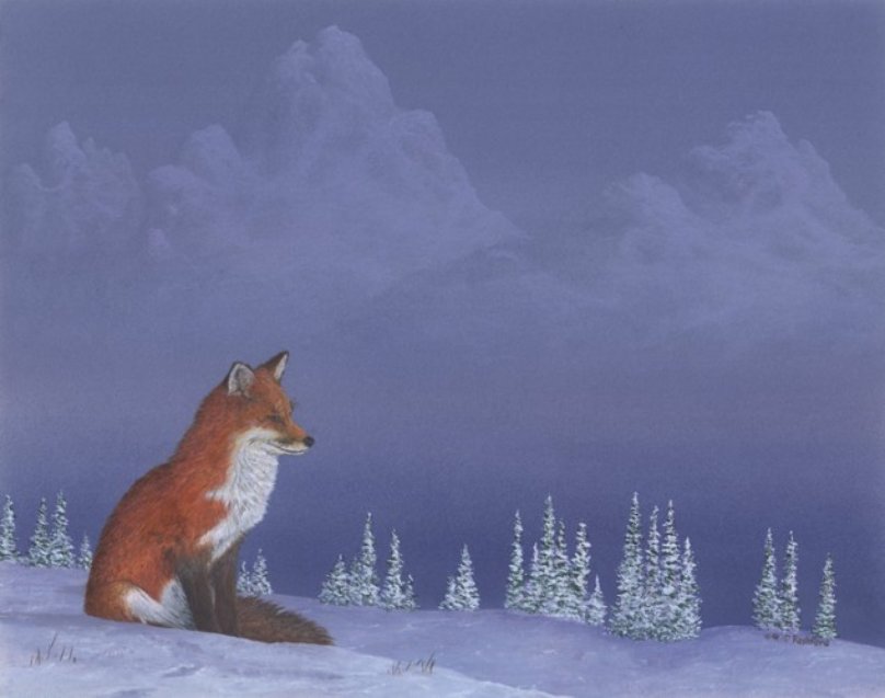 Peter Rashford Artwork For Sale, Wanted