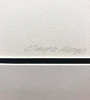 geometric abstract Op Art from Columbian artist Omar Rayo by Omar Rayo ...