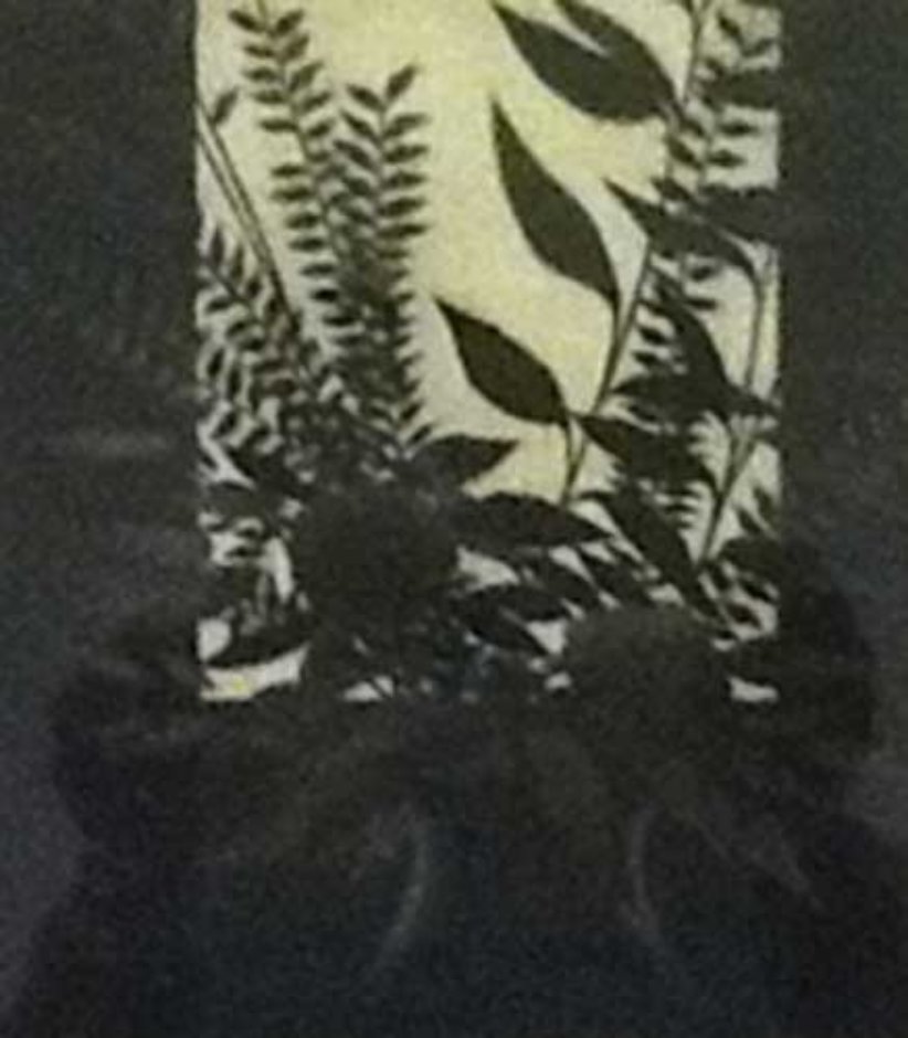 Thomas Locker American Contemporary Artist Paintings For Sale - 3 Listings