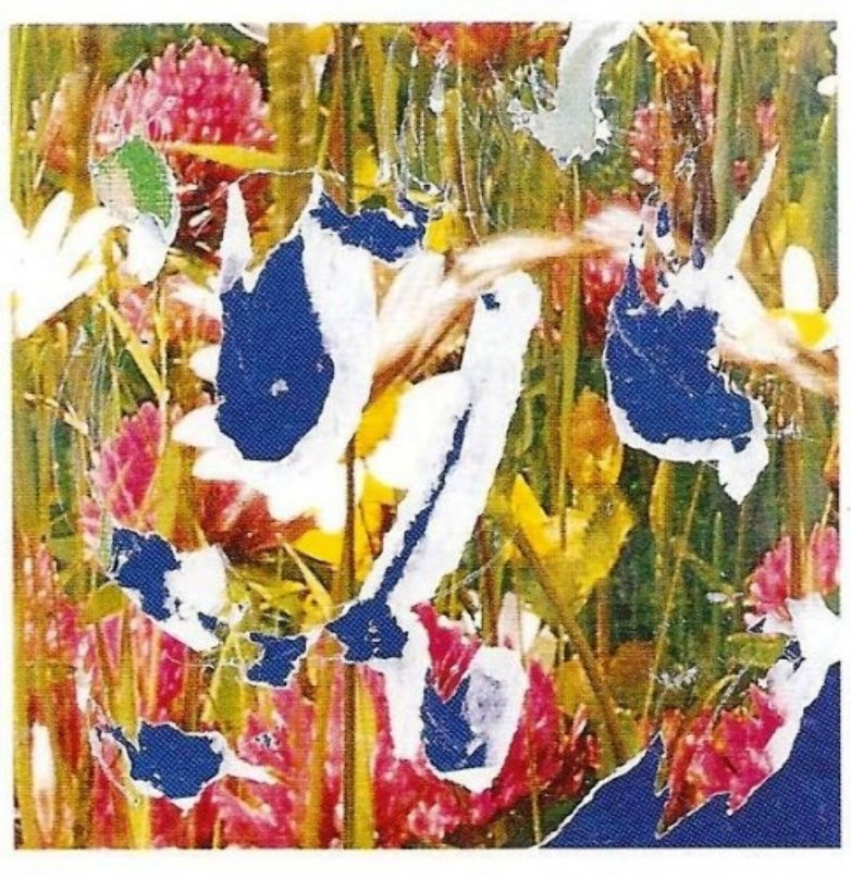 Mimmo Rotella Artwork For Sale, Wanted
