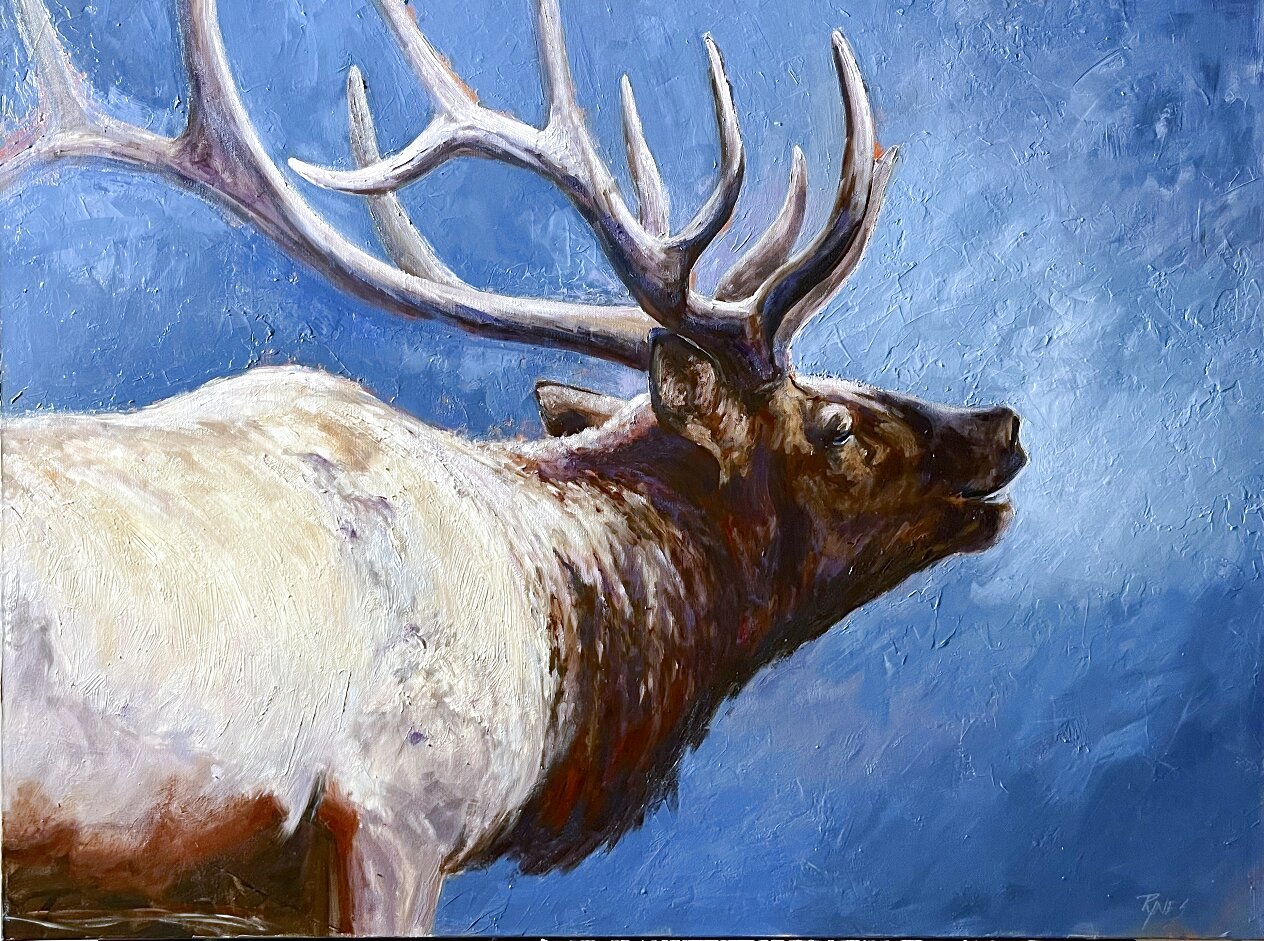 King of the Hill 2022 Oil on Canvas by Nancy Rynes - For Sale on Art ...