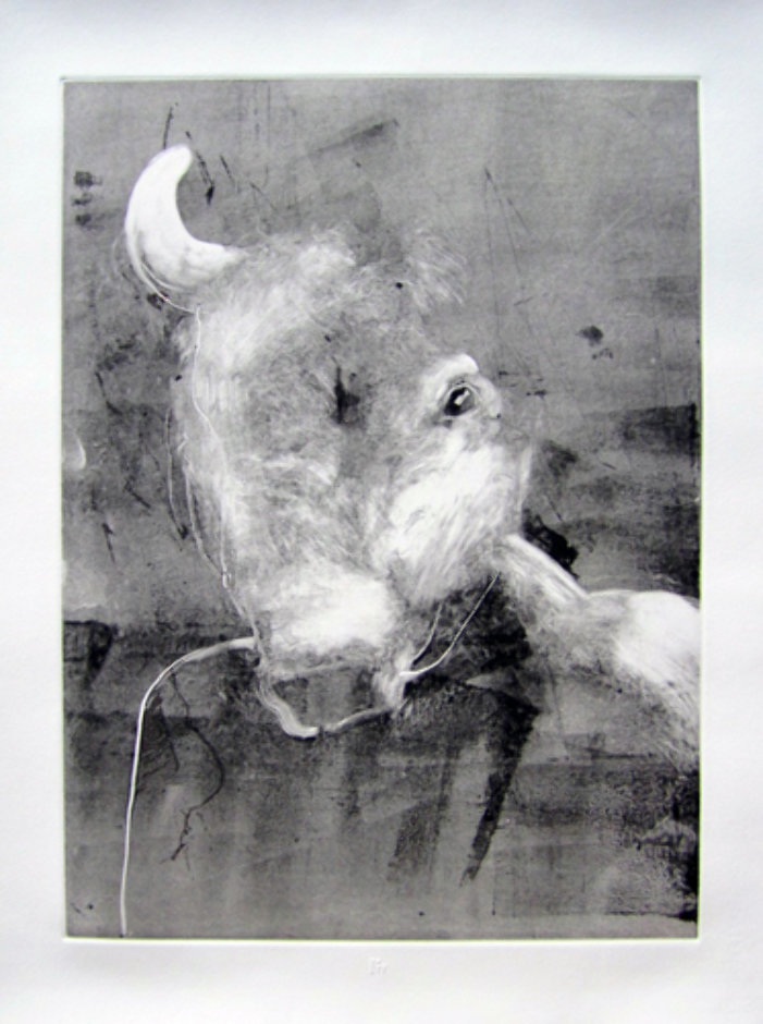 Fritz Scholder Native American Artist Paintings/prints/sculpture For ...