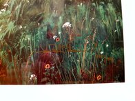 Charge Through the Peach Orchard 1993 Limited Edition Lithograph 22x28 ...