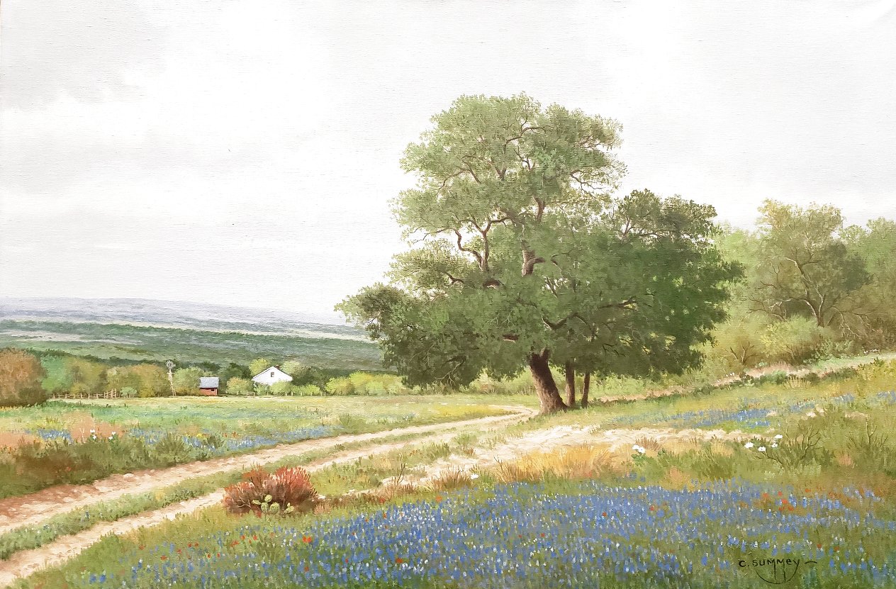 Untitled (Valley View) 1980 Oil on Canvas 33x44 by Charles Summey