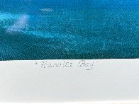 Hanalei Bay 1985 Serigraph 23x32 by George Sumner - For Sale on Art ...