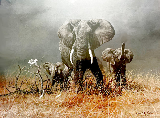 Untitled Elephant Portrait Lithograph 17x23 by Gary Swanson - For Sale ...
