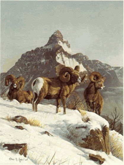 Bighorn 1978 by Gary Swanson - For Sale on Art Brokerage
