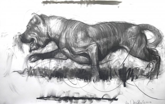 Dog Drawing 2014 39x59 by Nico Vrielink - For Sale on Art Brokerage
