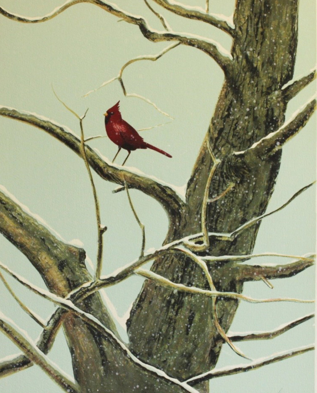 Second Snow 27x20 lithograph of Red Cardinal on Tree Branch by Wayne ...