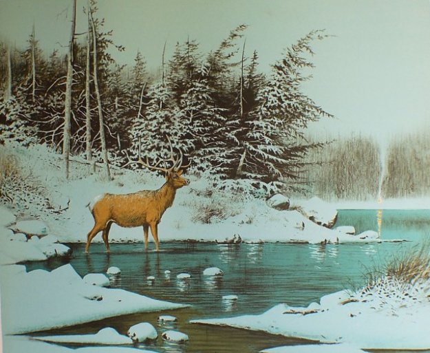 North (One Bull) AP by Wayne Cooper - For Sale on Art Brokerage