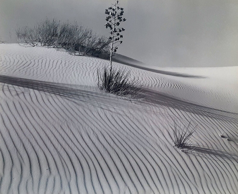 Brett Weston Photographs For Sale, Wanted